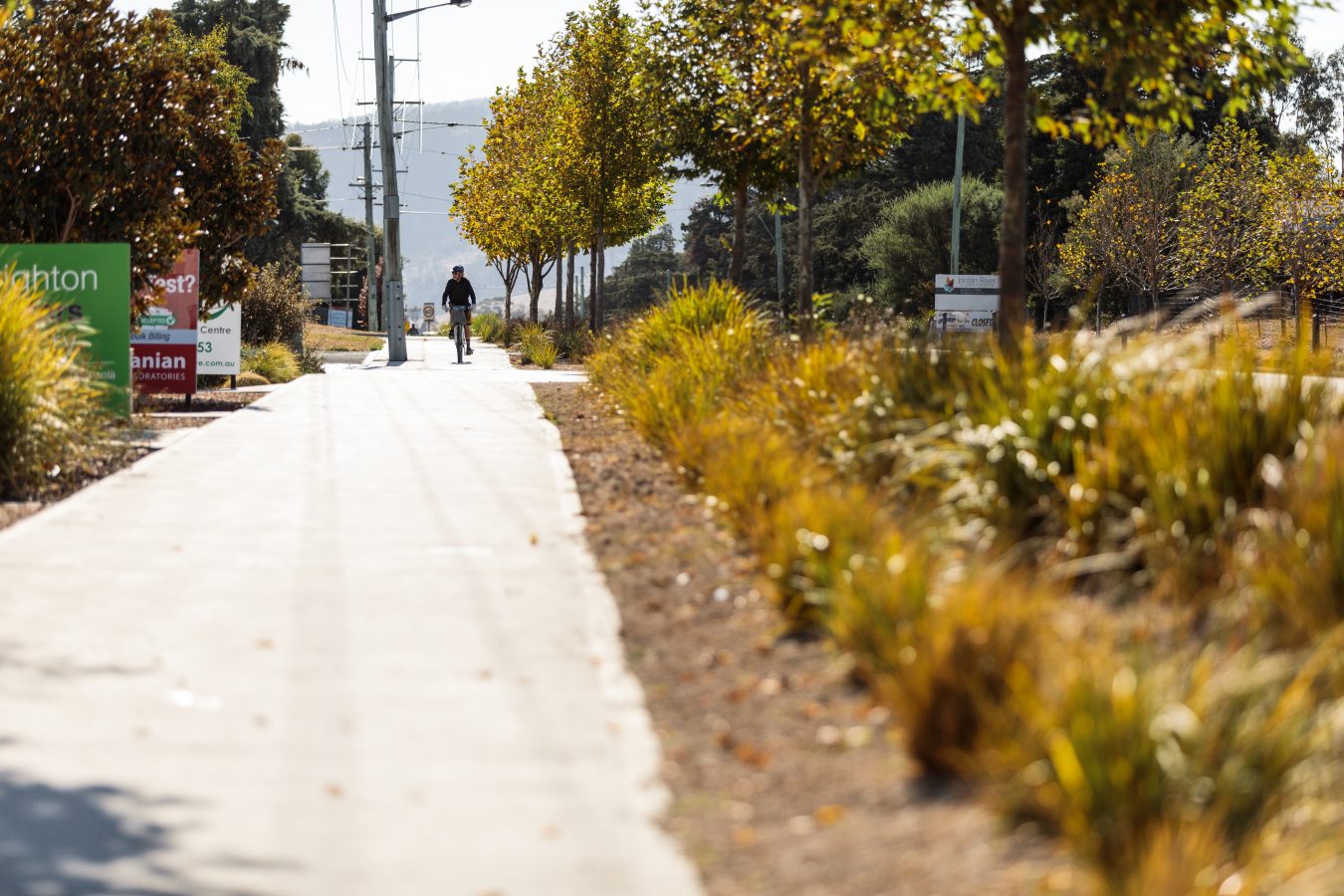 Strategies & Plans – Brighton council